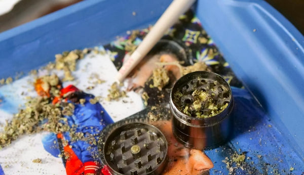 17 Funny Weed Strain Names That’ll Make You Laugh