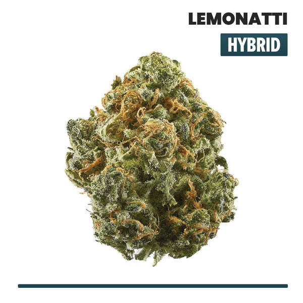 Lemonatti THCA Flower | Lemon Gelato Hybrid Hemp Flower | Vida Optima